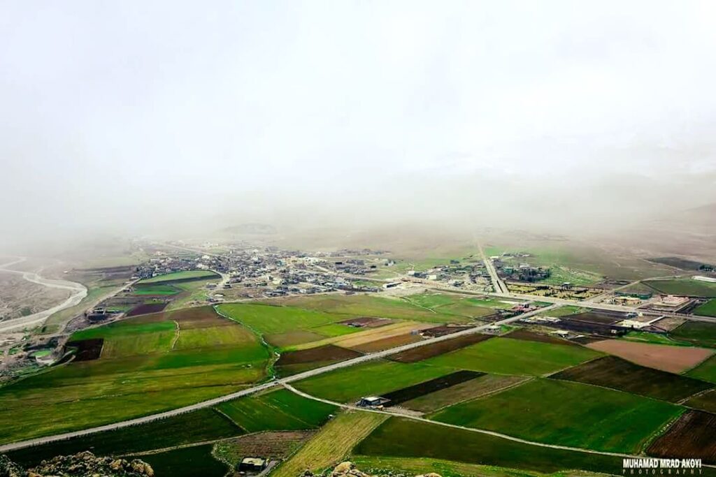 زڕ دایکێک دەبێتە پەناگەی سێ منداڵی هاوژینە مردوەکەی - nkae-shora.com
